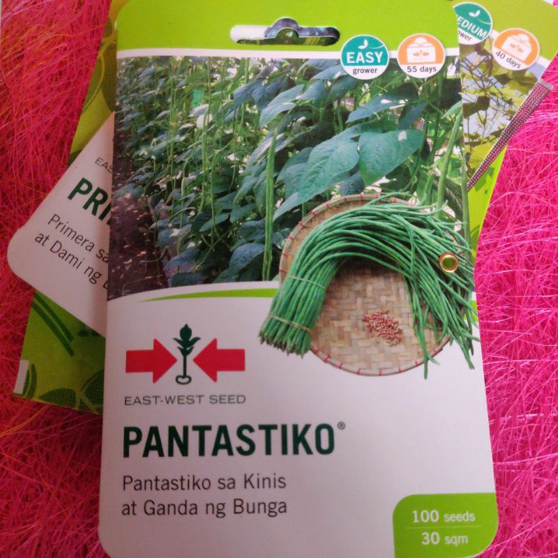 POLE SITAO SEEDS STRING BEANS SEEDS OP PANTASTIKO 100SEEDS EAST-WEST ...