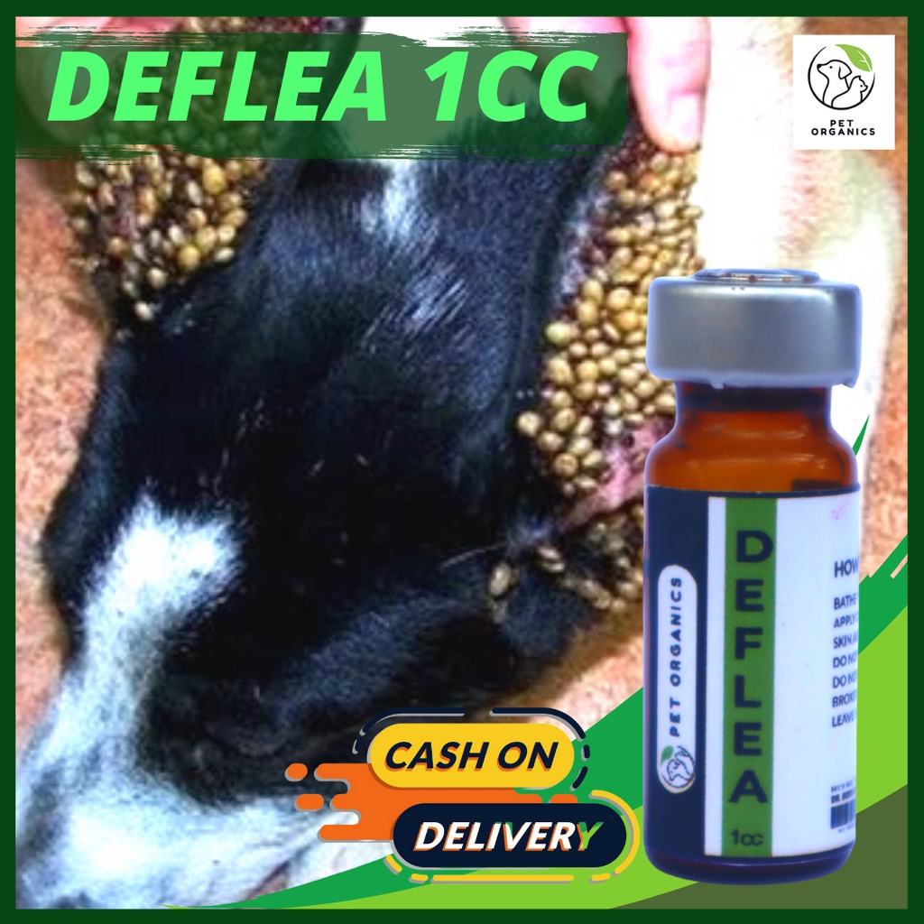[PETORGANICS]DEFLEA 1CC Anti-Tick and Flea Spot On Mites for Pet Dogs ...