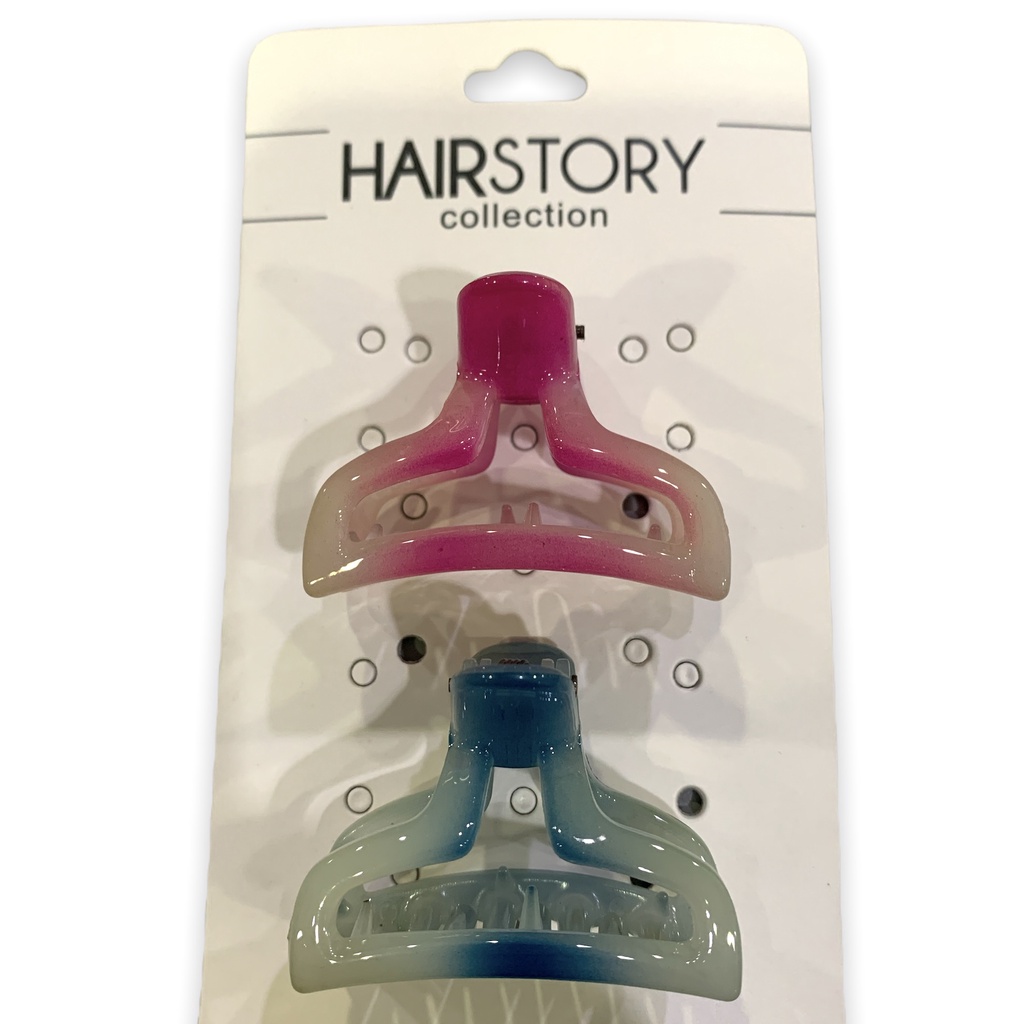 HAIRSTORY Small Hair Clamp (Ceramic) | Shopee Philippines
