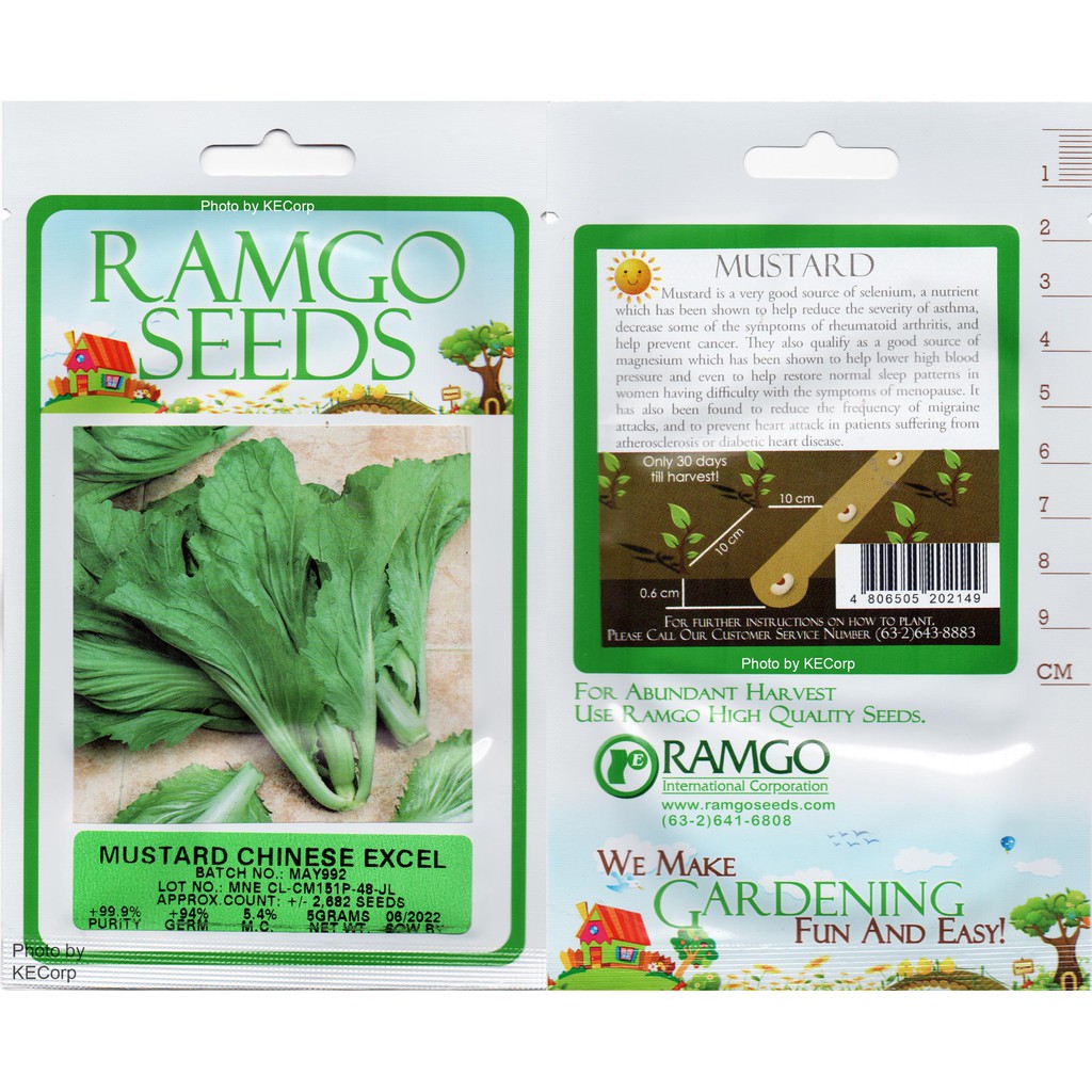 Ramgo Vegetable Packet Seeds [A-O] Ampalaya to Onion - Sold per Pack ...