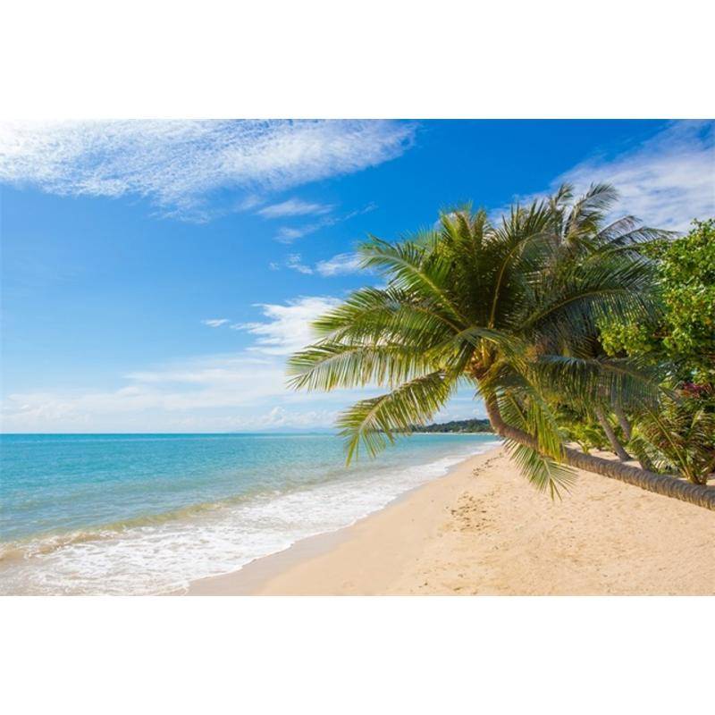 Tropical Palms Sea Beach Party Cruise Ship Summer Decoration Custom ...