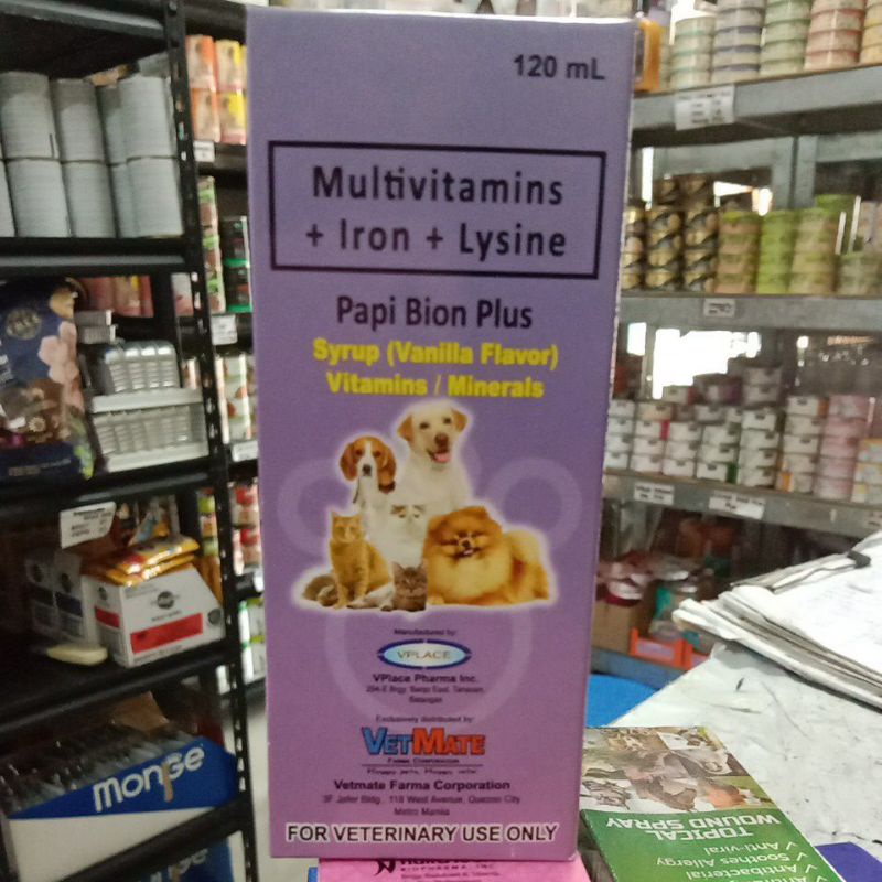 Papi Bion Plus Syrup 120ml | Shopee Philippines