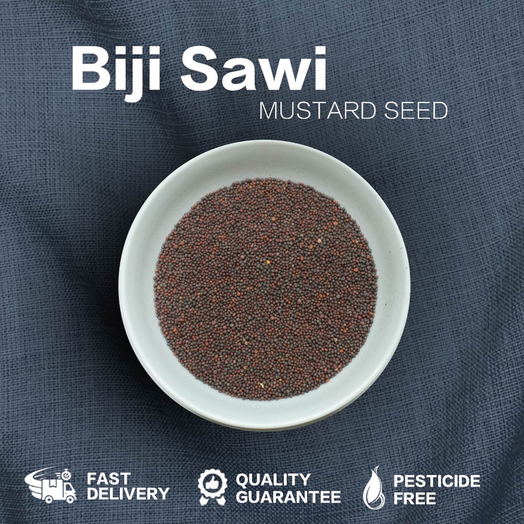Mustard SEED/MUSTARD SEED 100G/500G | Shopee Philippines