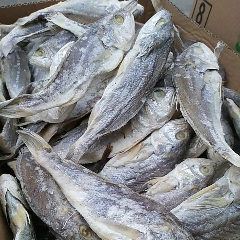 Smoked stone head salted fish 250g | Shopee Philippines