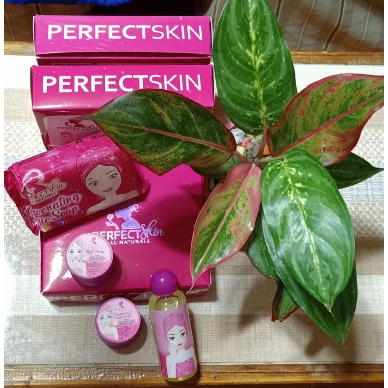 PERFECT Skin rejuvinating set ORIGINAL | Shopee Philippines