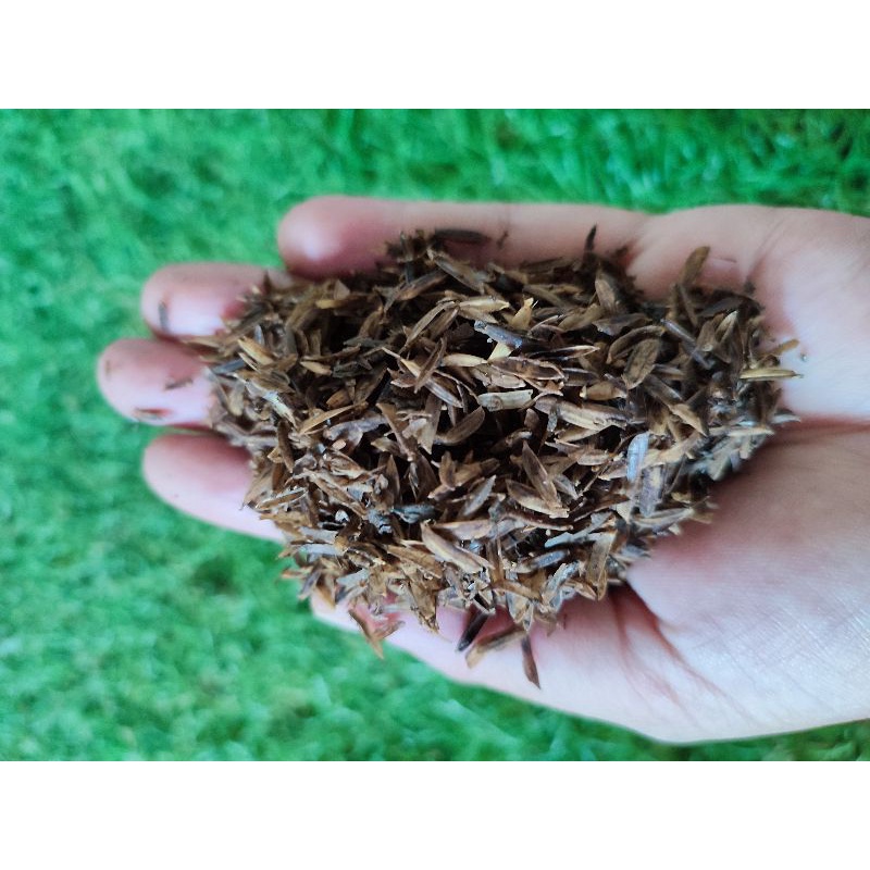 Rice hull bulok na ipa for plants 1 kilo | Shopee Philippines