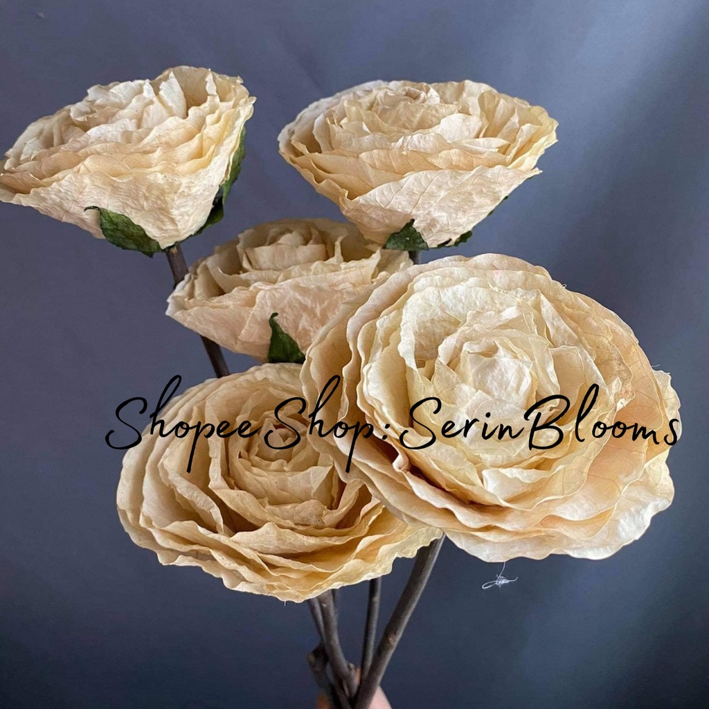 Fossilized Rose(1 stem only) | Shopee Philippines
