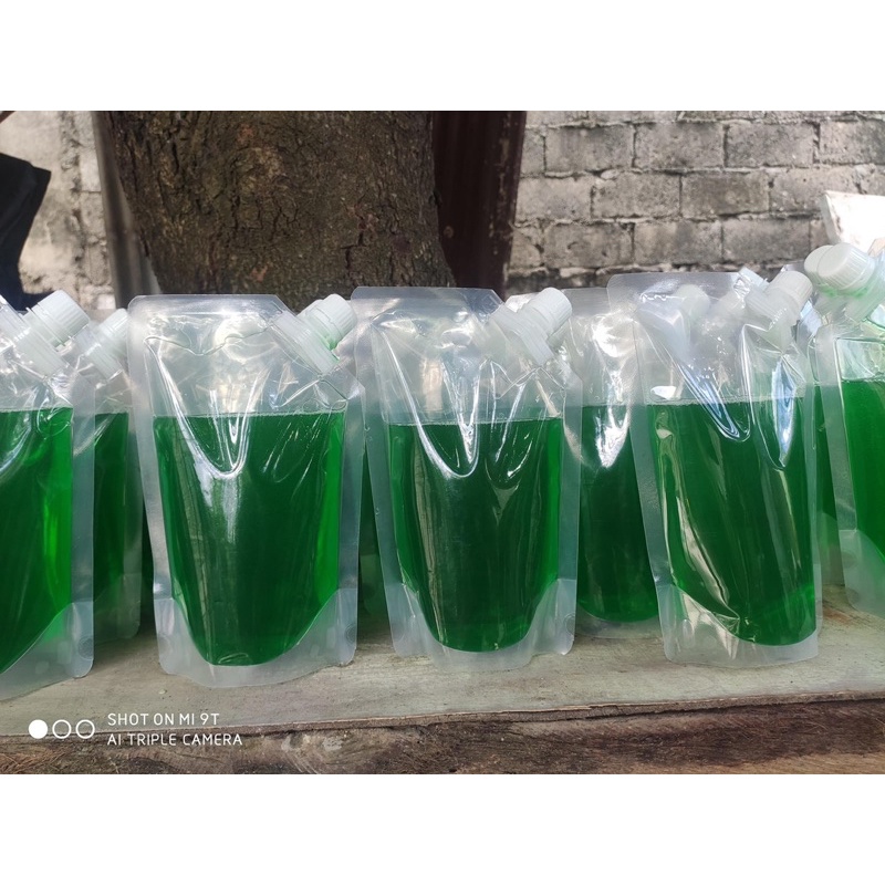 Stand Up Pouch with Spout for Dishwashing Liquid, Fabcon and Liquid ...