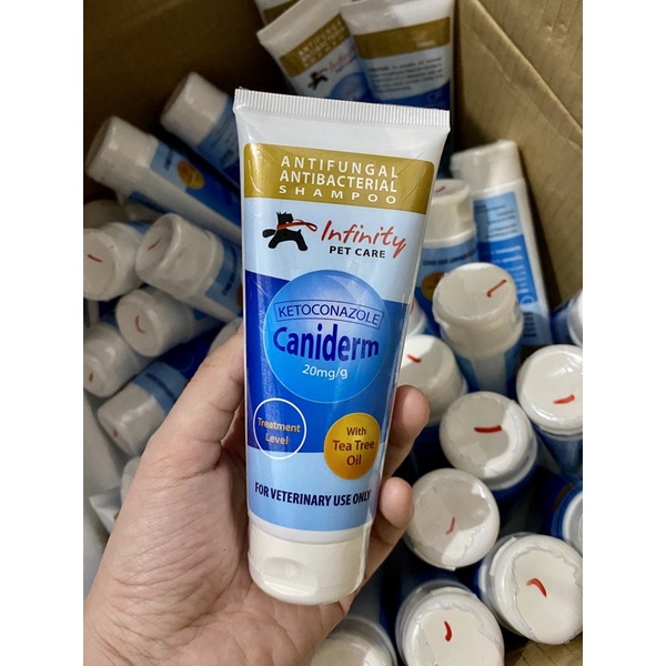 Caniderm Antifungal + Antibacterial Shampoo for dogs and cats pet ...