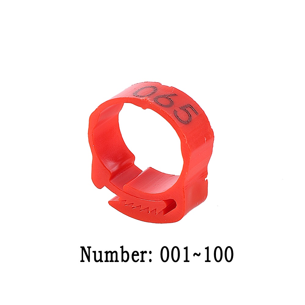 100pcs Chicken Leg Band Ring Multicolor Poultry Leg Band for Chicken ...