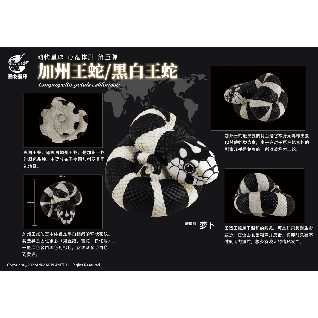 Animal Planet Heart Wide Body Fat Snake Chapter Plus Fluffy Viper Ball ...