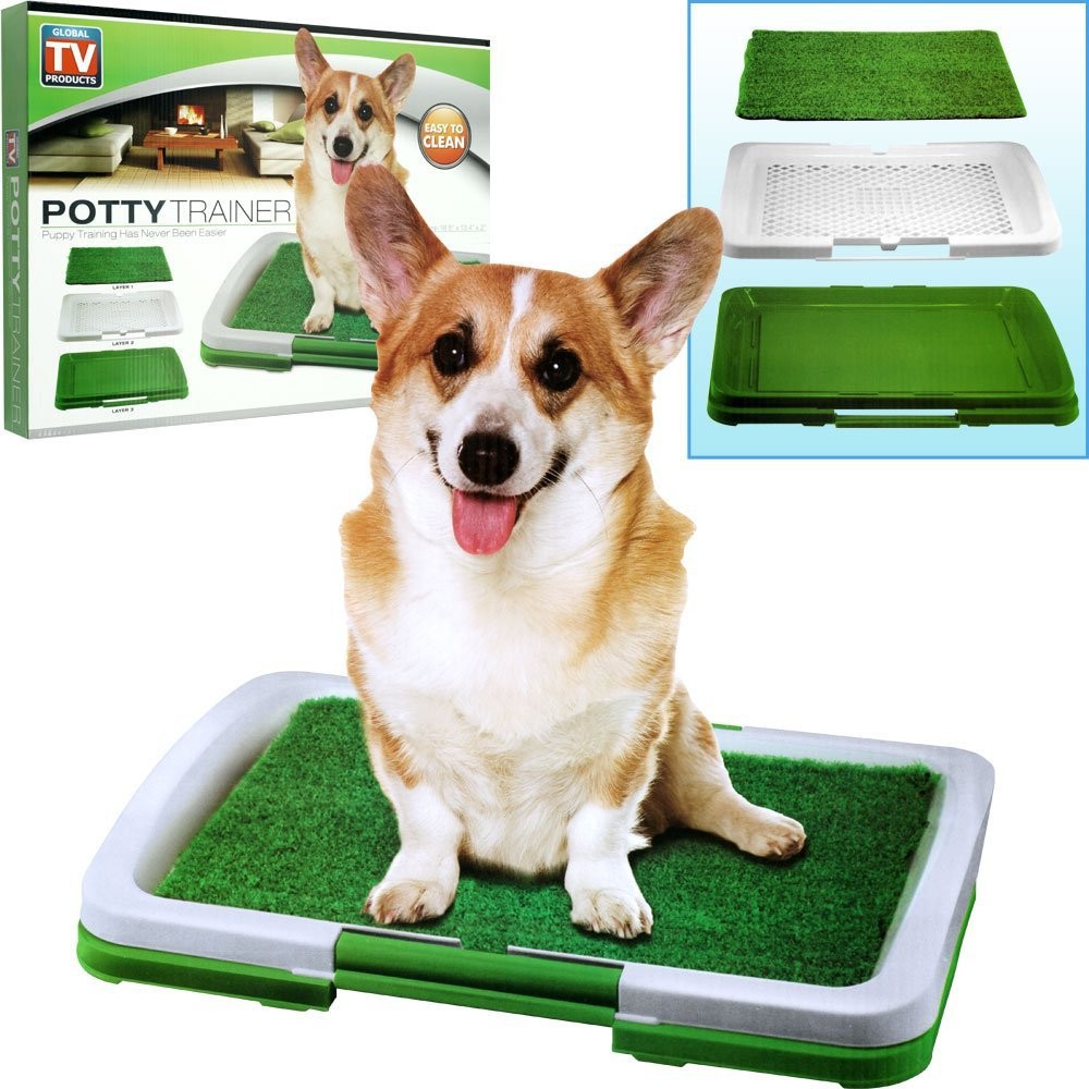 Puppy potty pad potty trainer 【kiarro】 | Shopee Philippines