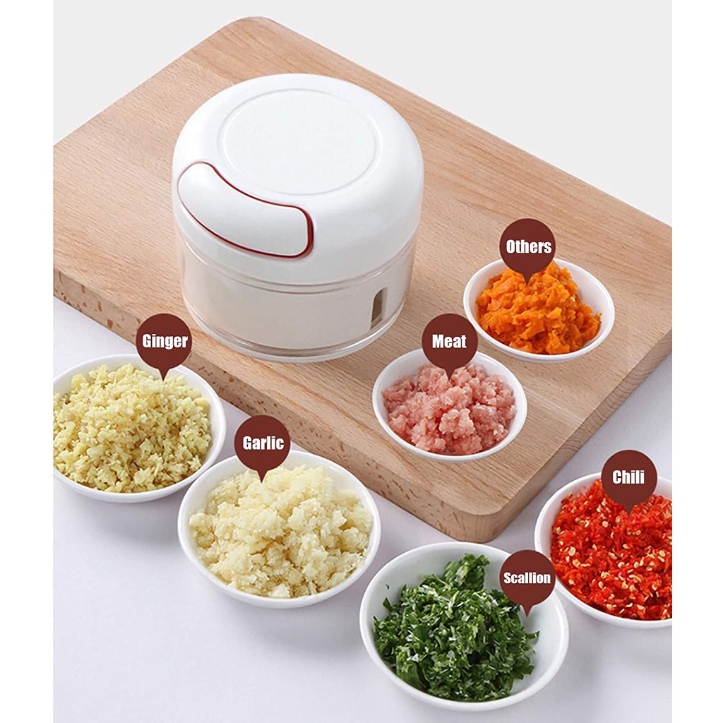 Manual Garlic Chopper, Kitchen Chopper Masher Hand Food Processor Mini ...