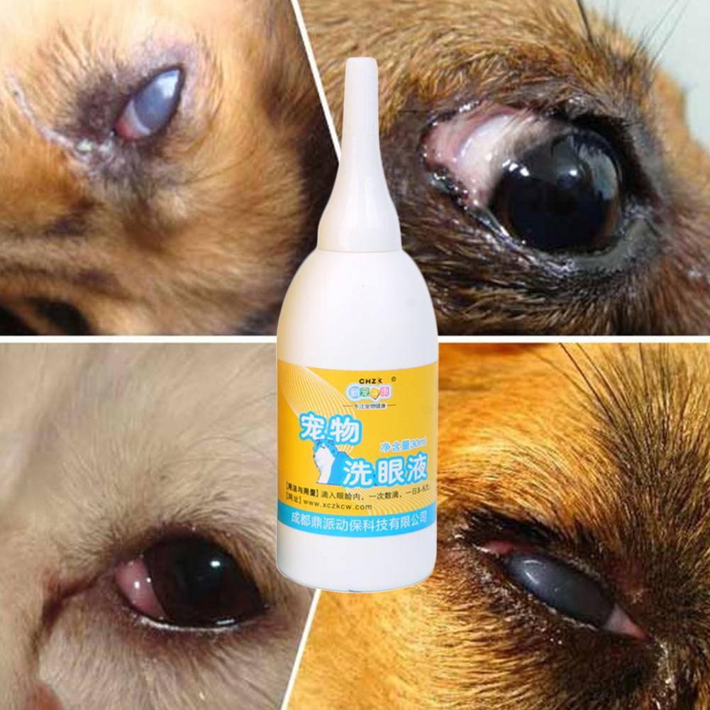 【COD】30ml Pet Eye Wash Dog Eye Drops To Remove Tears Wash Cat And Dog ...