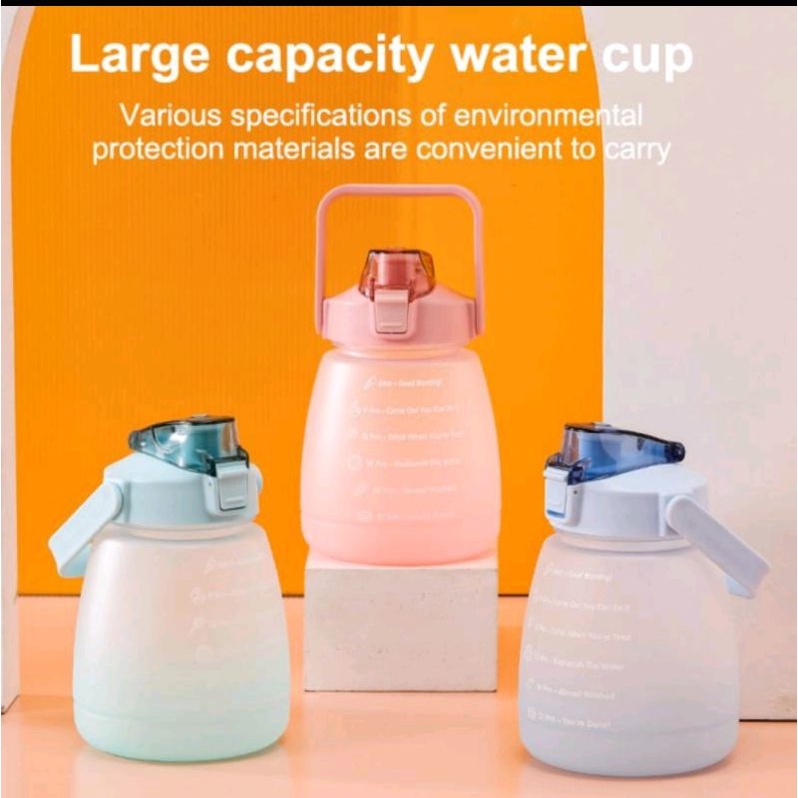 Colorful Rainbow Pastel Gradient Gemoy Viral Bottle | Shopee Philippines