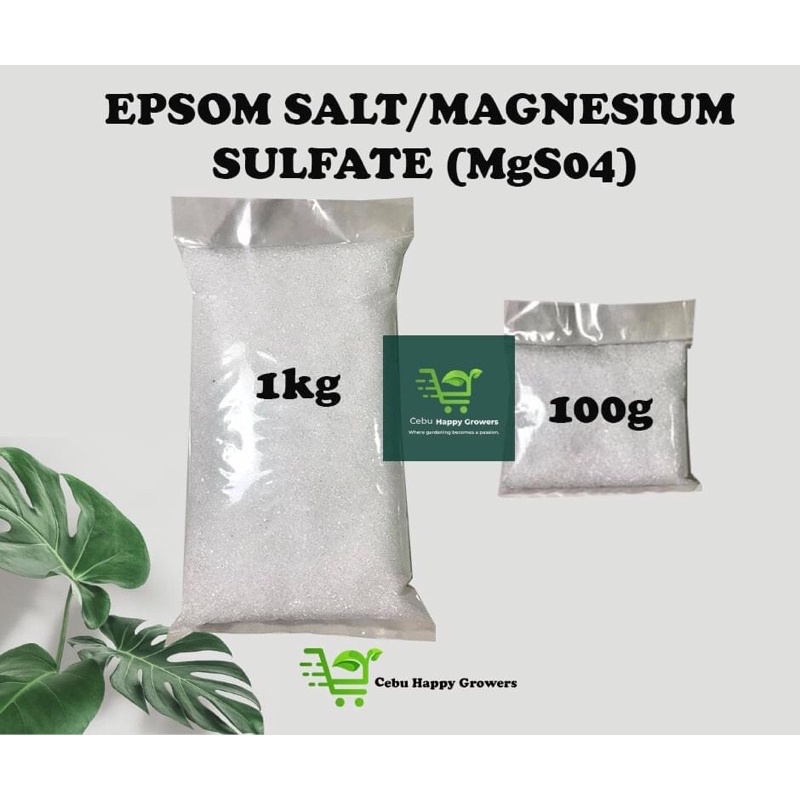 1kg Epsom Salt/Magnesium Sulfate (MgSO4) | Shopee Philippines