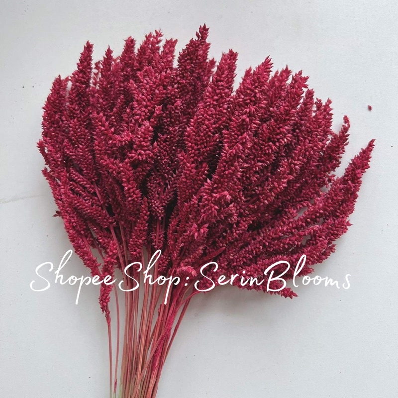 Local Dried Trigo sold per bundle | Shopee Philippines