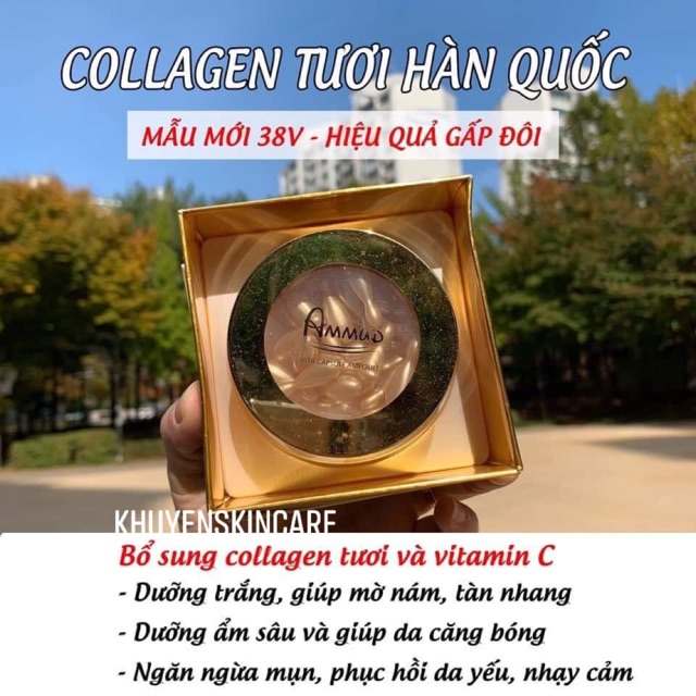 Fresh COLLAGEN SERUM FOR KOREAN SKIN BRIGHTENING BOX OF 38 SUPER SAVING ...