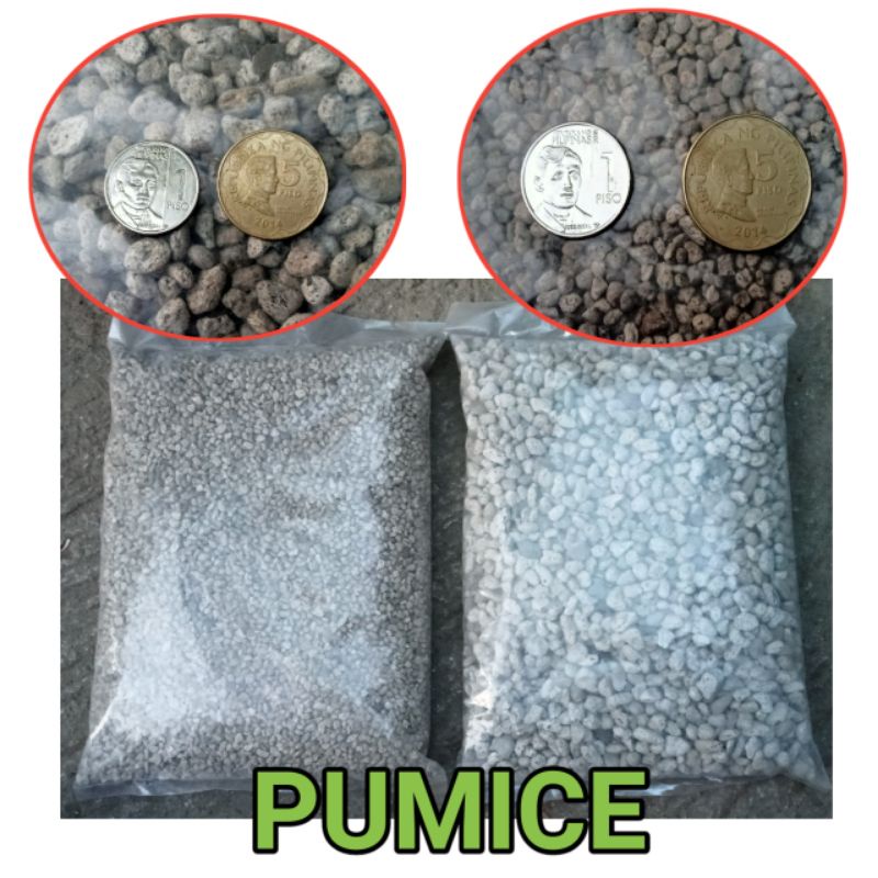 Pumice Stone 1kg Monggo/Corn | Shopee Philippines