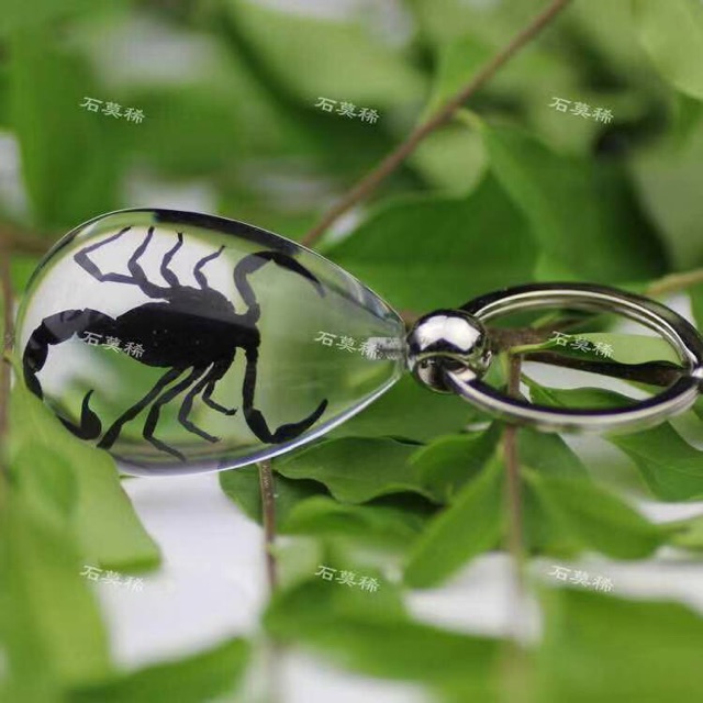 JT5 Insects Amber Key Chain | Shopee Philippines