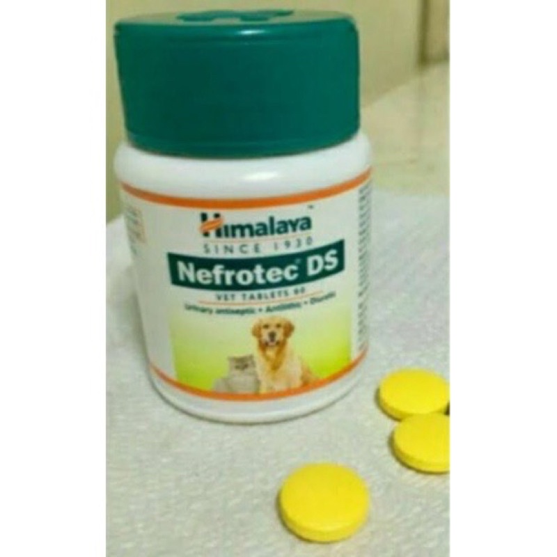 SOLD PER PC (Nefrotec DS (Dogs & Cats) | Shopee Philippines