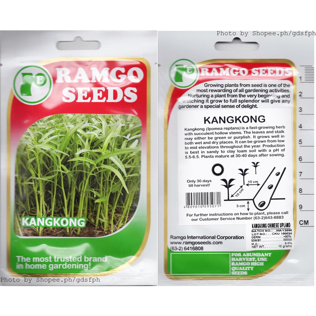 Ramgo RPO Seeds Kang Kong Chinese Upland 10g (Original Pack) GDSFPH_S4 ...