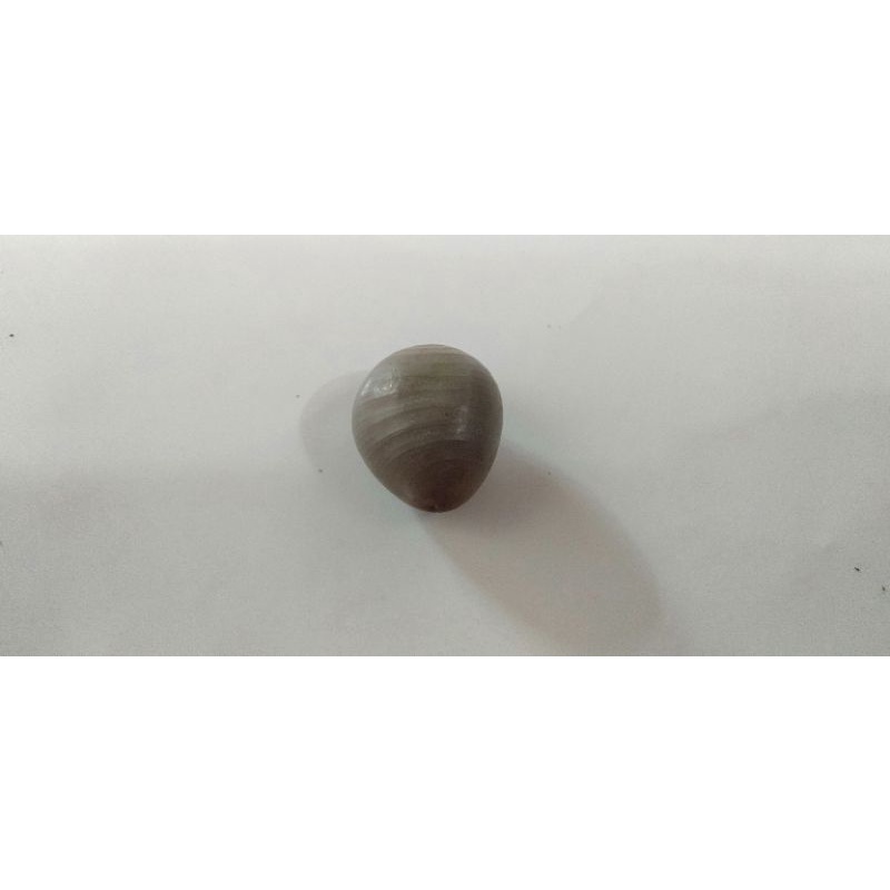 DALUGDOG/KALUMBIBIT SEED or ALOG SEEDnor CAESALPINIA SEED 15 each per ...