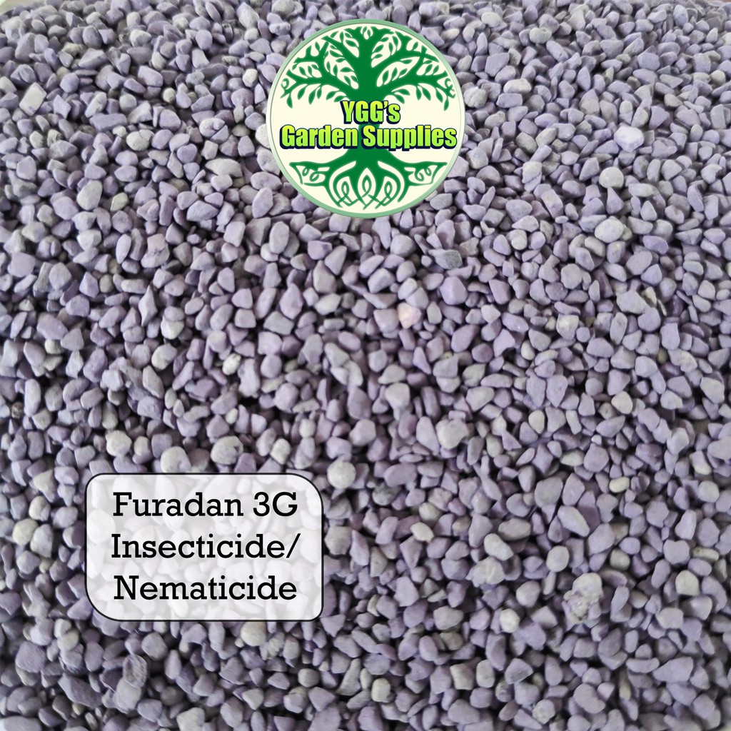 Furadan 3G Synthetic Insecticide / Nematicide 50 or 100 grams | Shopee ...