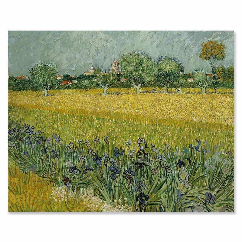 Van Gogh Starry Night Canvas Painting Wall Art Deco Painting Irises ...