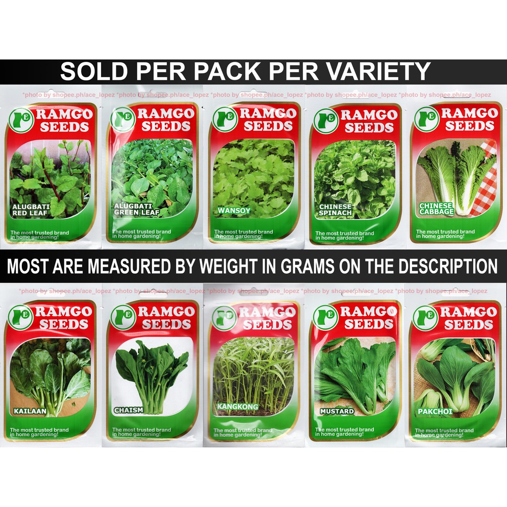 Ramgo RGS Green Leafy Seeds - Sold per Pack per Variety _ALS2127 ...