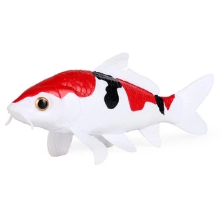 Shop koi fish for Sale on Shopee Philippines