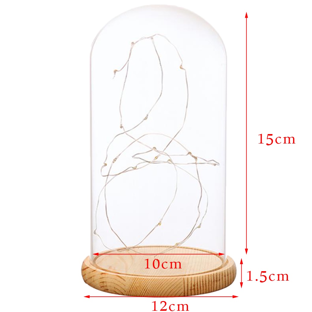 Glass Dome With Wooden LED Lights Base for Home Display DIY | Shopee ...