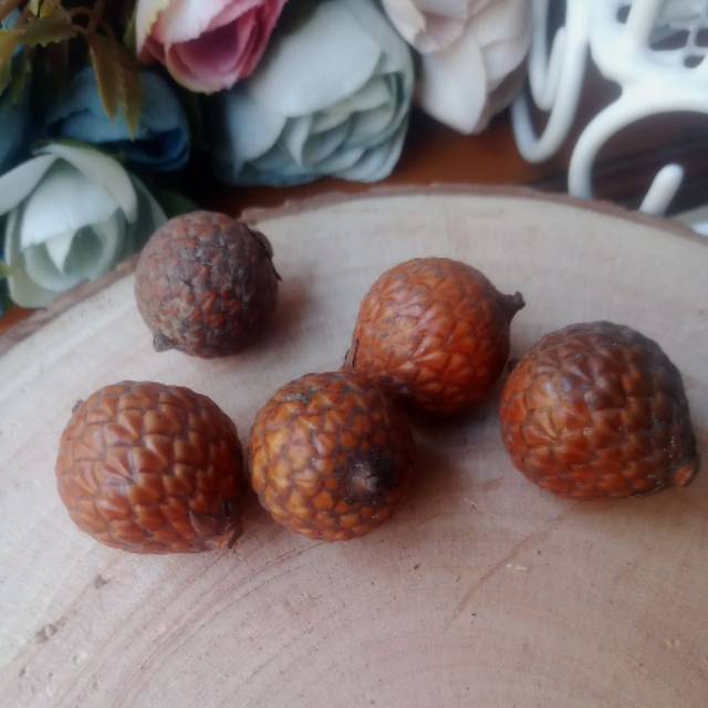 Round Rattan Seeds Of Dowry And craft Materials And rustic | Shopee ...