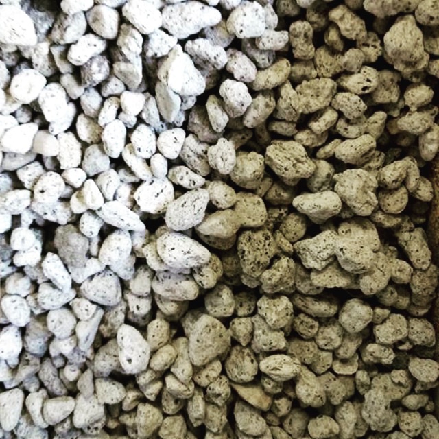 Pumice / filter / rough stone sand / cleaner rock for aquarium | Shopee ...