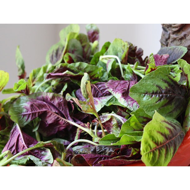 Green Amaranth Kulitis Variety Vegetable Seeds ( 2000 seeds ) - Basic ...