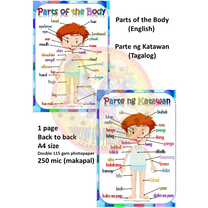 Parts of the BODY English Tagalog A4 size Reusable activities Shopee Philippines