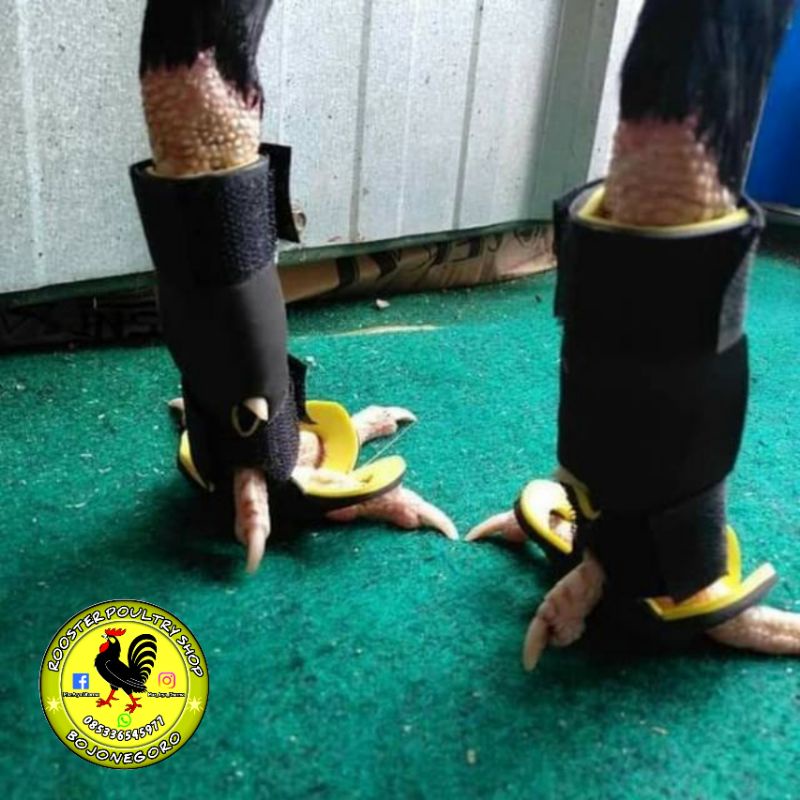 CHICKEN SHOES anti-bulb shoes for chickens | Shopee Philippines