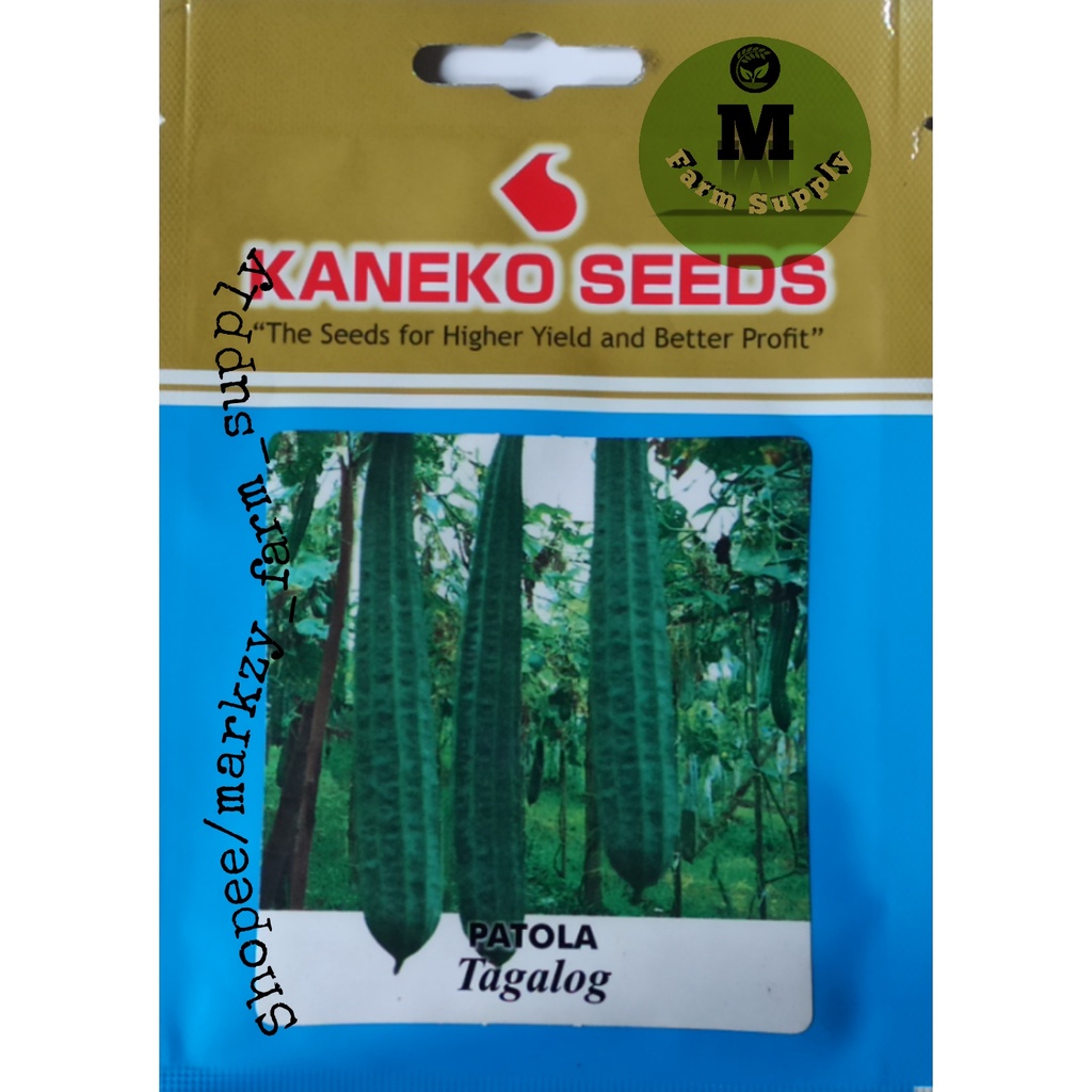 Patola Tagalog Kaneko High Quality Seeds | Shopee Philippines