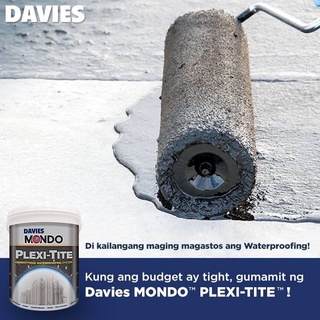Davies PlexiTite PXT-101 Cementitious Waterproofing System | Shopee ...