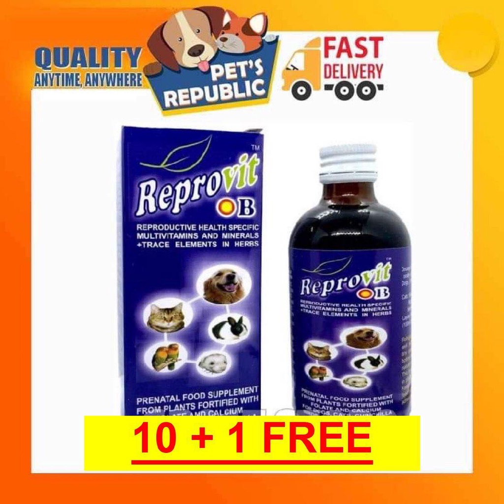 REPROVIT OB 10 + 1 Dog Vitamins 120ml for Pregant Dog Vitamins for ...