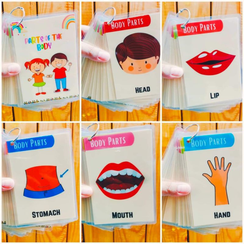 alphabet shapes body parts numbers laminated educational flashcards for ...