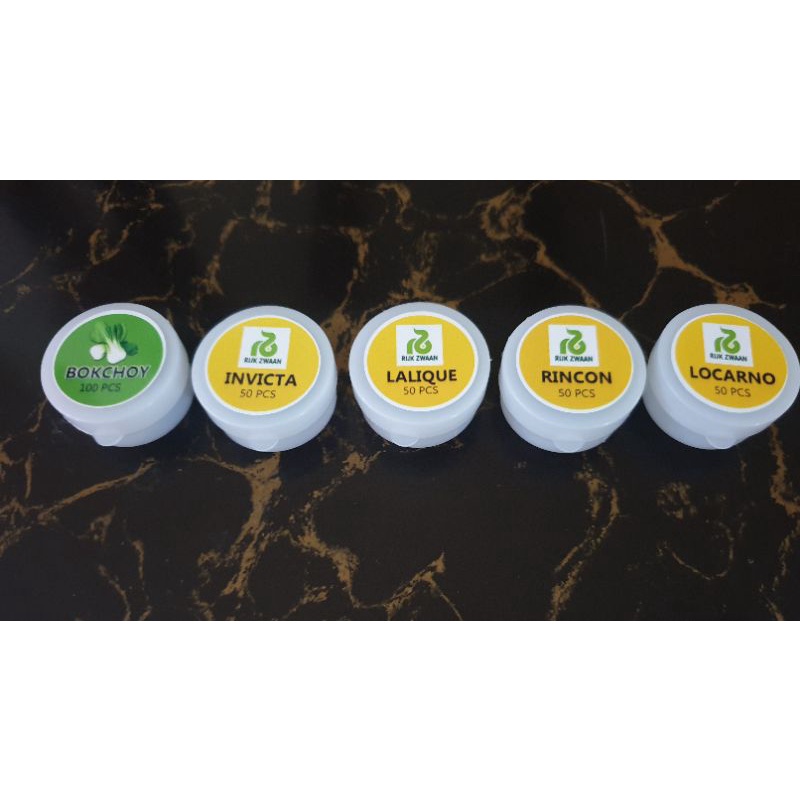 Rjik zwaan lettuce seeds olmetie-rincon-locarno-invicta---------petchay ...