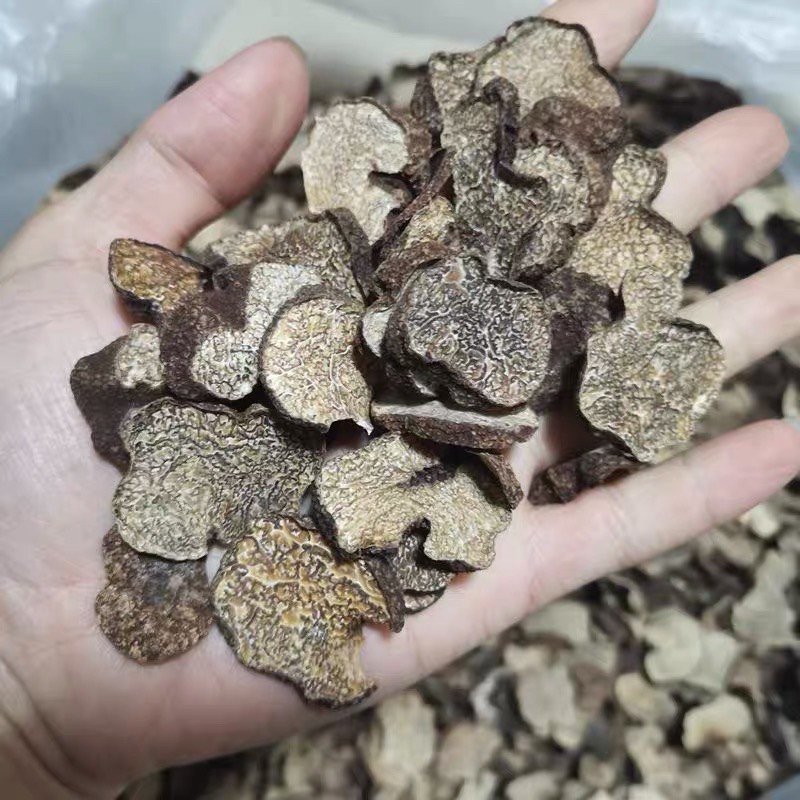 Black Truffle Dried Truck Wild 50g | Shopee Philippines