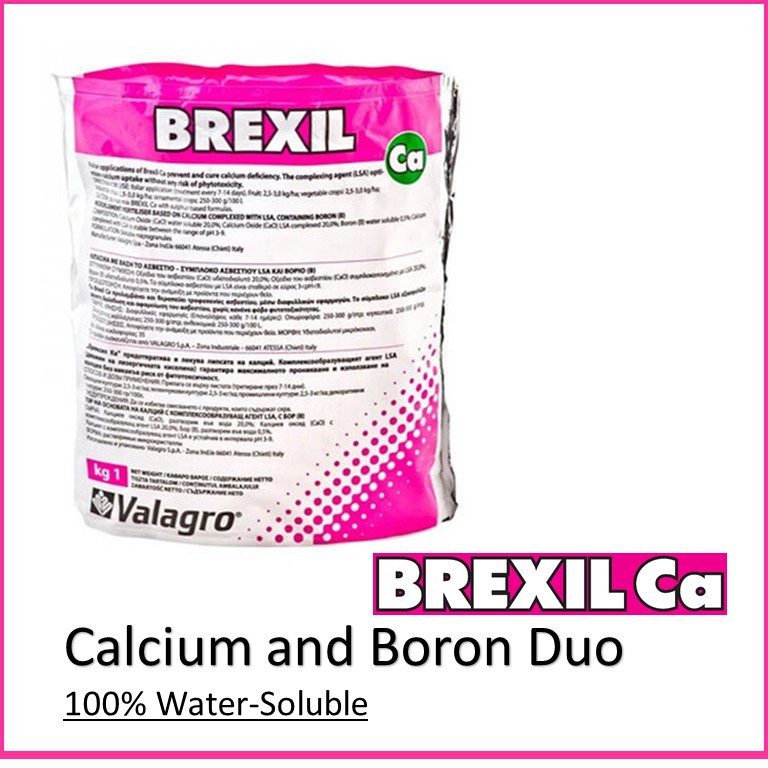 ZETRYL BREXIL CALCIUM 1KG | Shopee Philippines