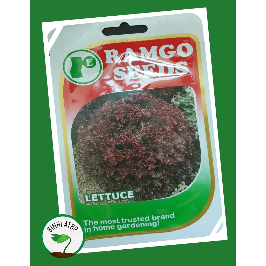 Ramgo Lettuce Lollo Rossa Seeds | Shopee Philippines