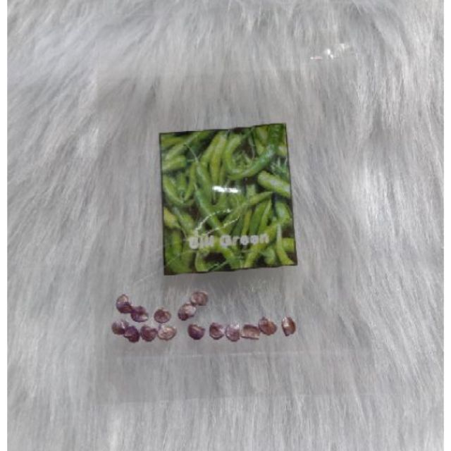 Green Chili/Siling Pansigang Green | Shopee Philippines