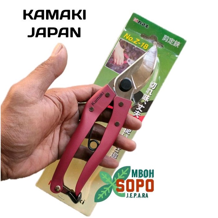 Gardening Bonsai Tools, Twig and Branch Scissors, KAMAKI Z-18, Japanese Scissors | Shopee ...