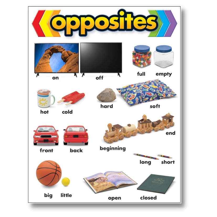 Laminated Opposites Charts for Kids, Learners and Students | Shopee ...