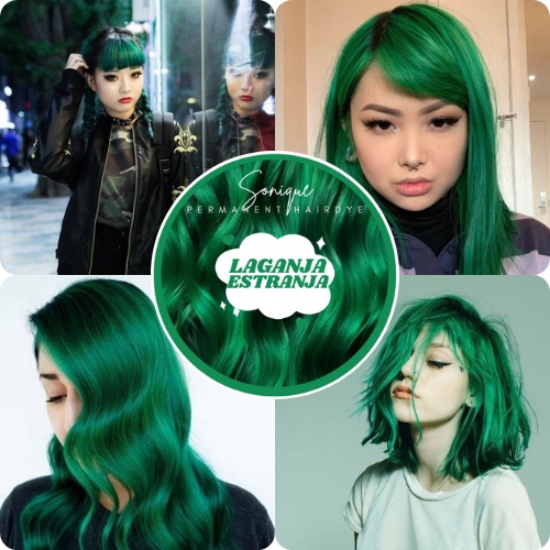 120ML SONIQUE Permanent Hair dye READY TO APPLY! NO NEED OXIDIZER ...