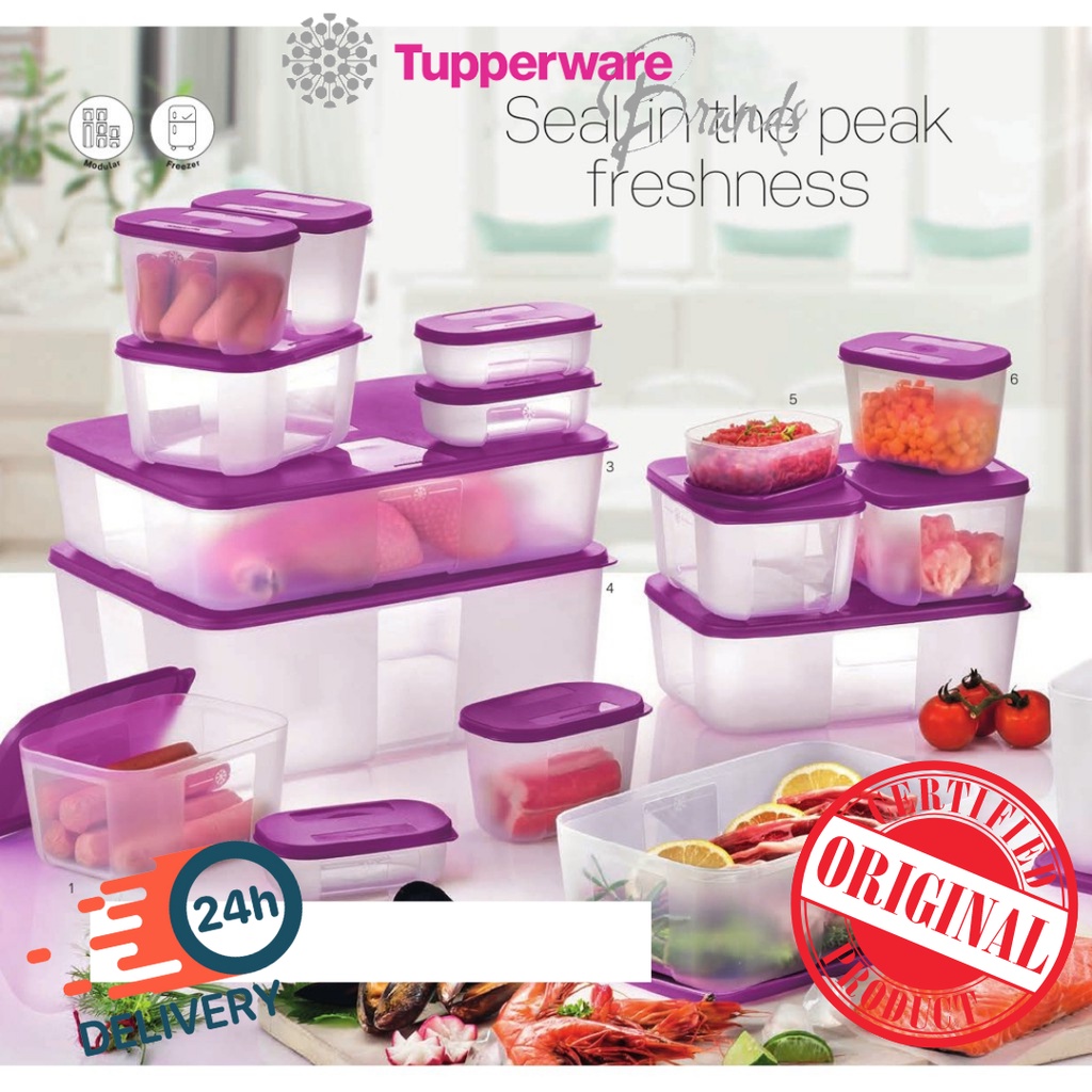 Frozen Food Keeper Bekas Simpanan Tupperware Freezer Mate Small Food ...